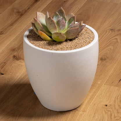 Tuscan Path 2kg Autumn Pebbles 2-4mm - Warm Tan & Beige - Decorative C ...