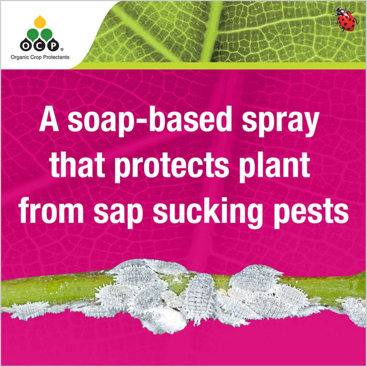 Ocp Eco Insect Killer - 750ml Ready to Use - Soap-Based - Organic Appr ...