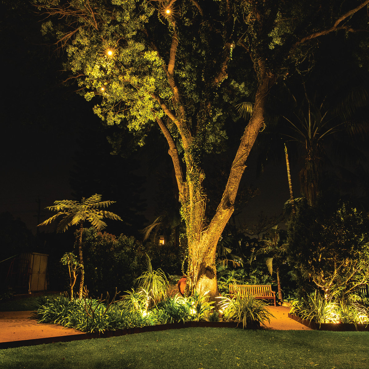 Holman Hanging Tree Light Value Pack - 6 Lights - 5m Cable - Warm Whit ...