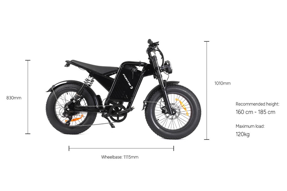 Fortis FatBro Plus 48V 13Ah Electric Bike with Fat Tyres and Suspensio ...