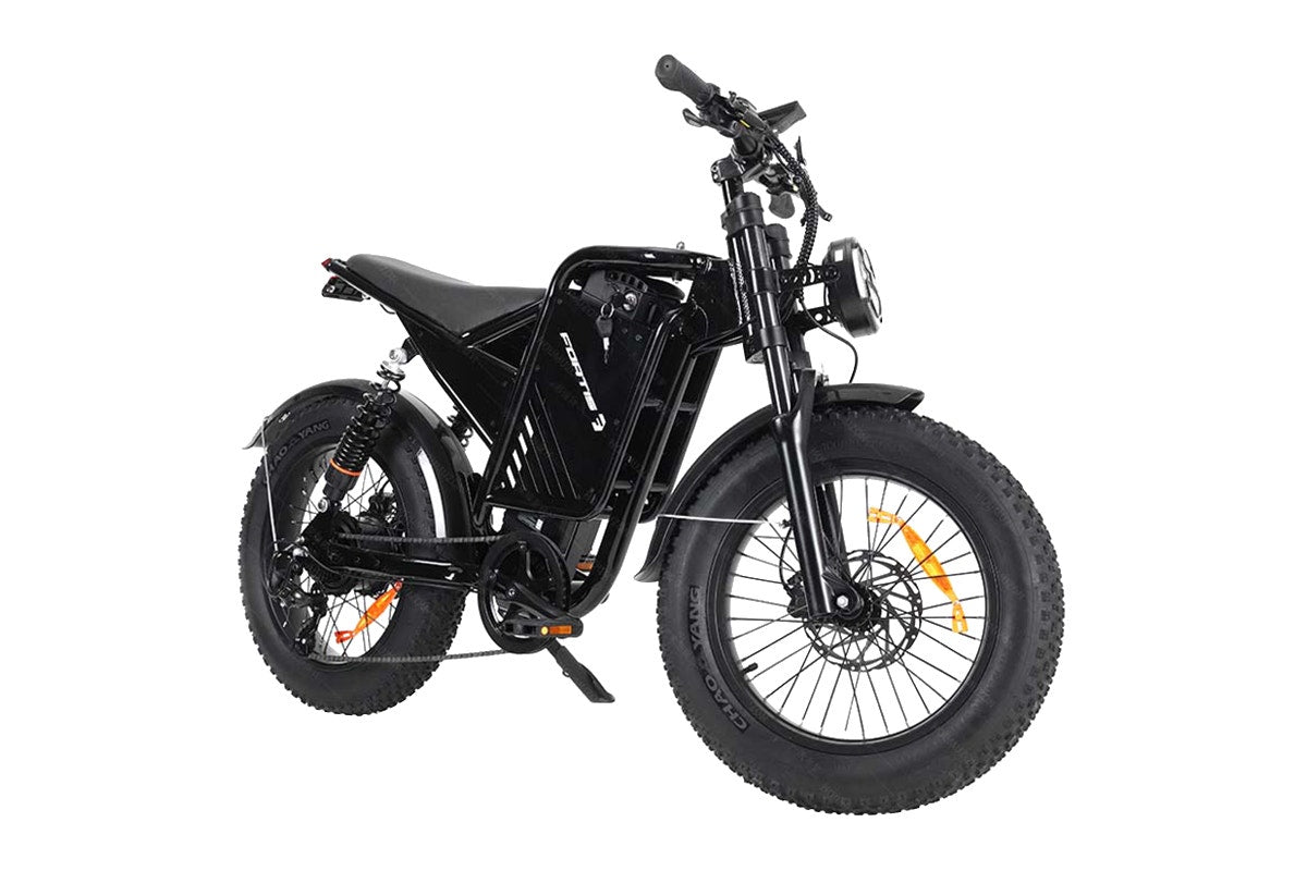 Fortis FatBro Plus 48V 13Ah Electric Bike with Fat Tyres and Suspensio ...