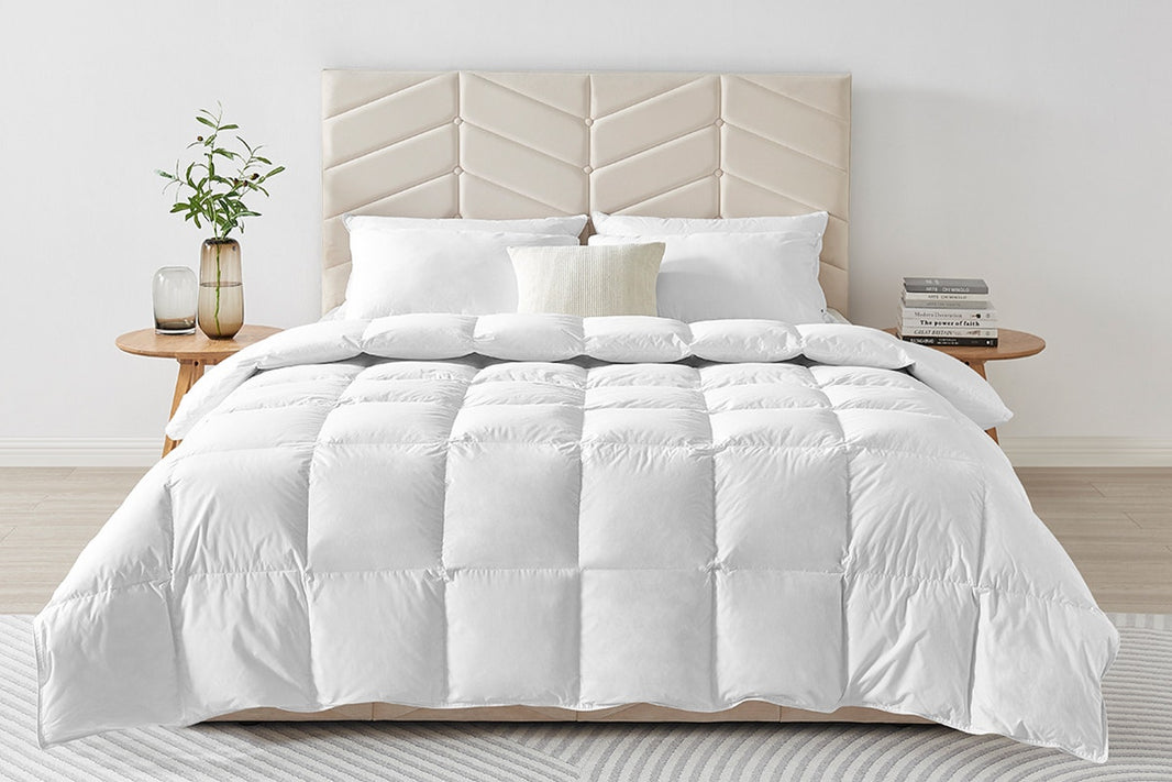 Explore Quality Matt Blatt Furniture at Auzzi Store Australia
