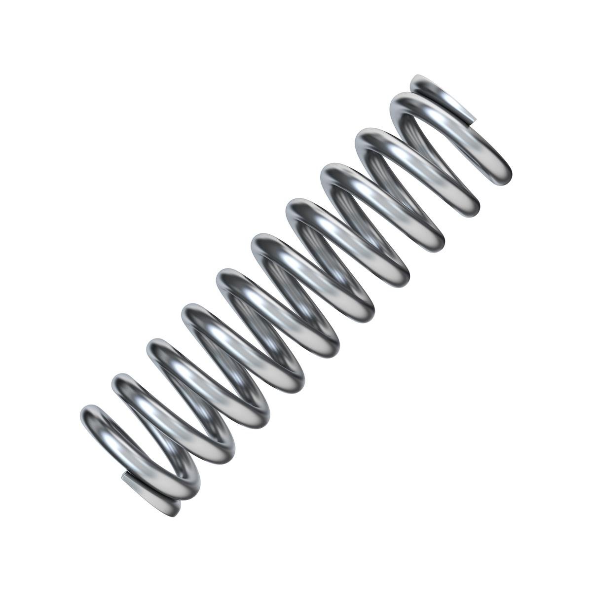 Century Spring Corp Compression Spring 2 Pack - 22 x 76mm - Durable St ...